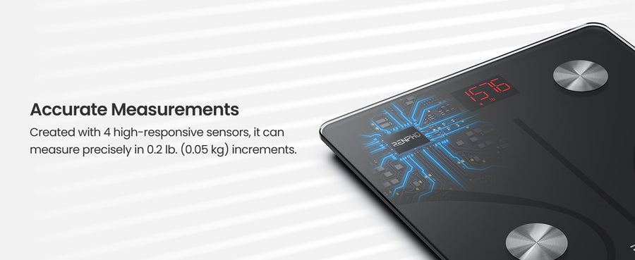 MorphoScan Smart Body Scale – RENPHO US