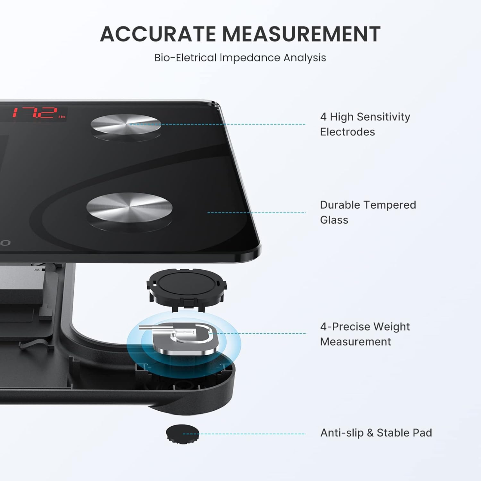 Elis 1 L Smart Body Scale – RENPHO US